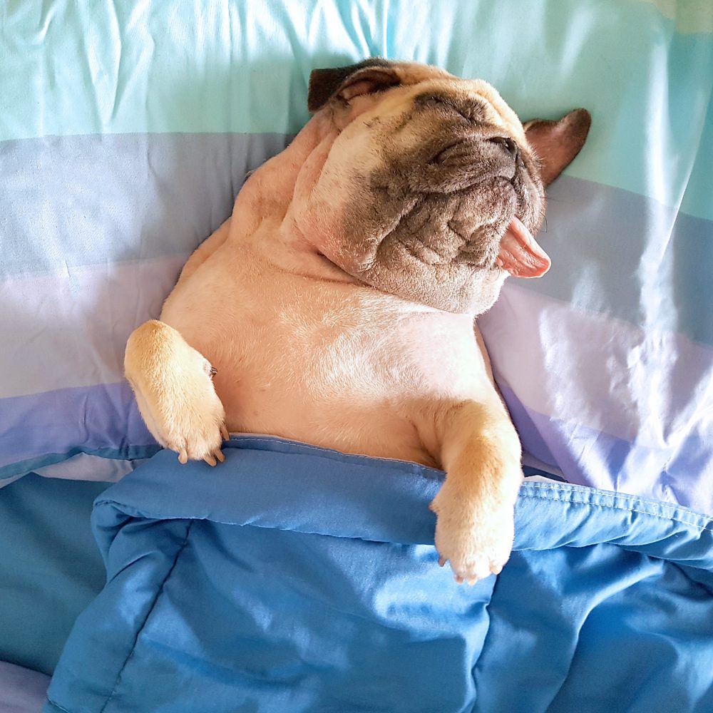 Why are you snoring?